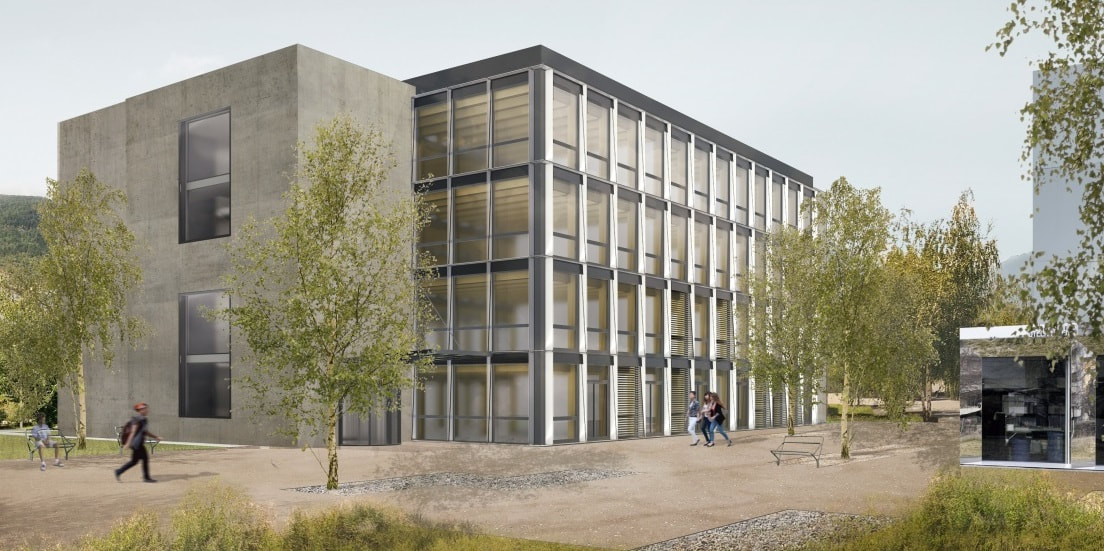 sterren baumanagement - Home